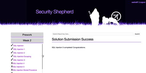 github sashalashae cybersecurity week2 lab codepath web security