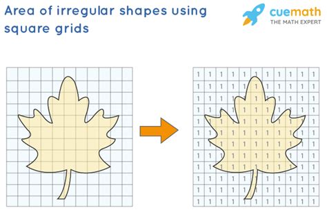 area of irregular shapes formula examples definition en