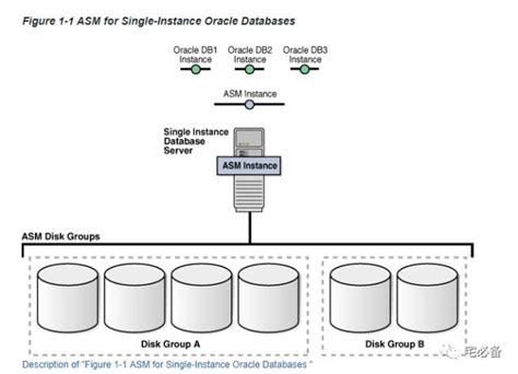 1 oracle asm instances oracle asm全解析