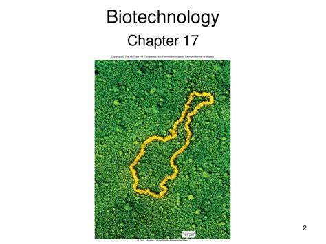 Chapter 17 Lecture Outline Ppt Download