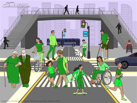 Una Movilidad Segura Y Eficiente Para Todos Ciencia Unam
