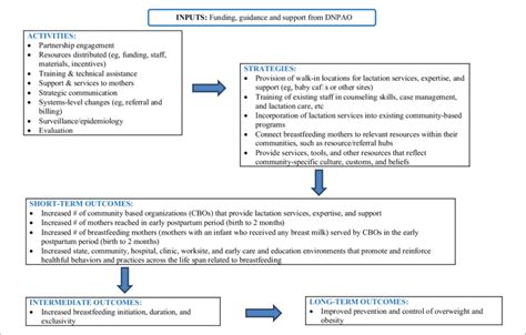High Level Logic Model Division Of Nutrition Physical Activity And