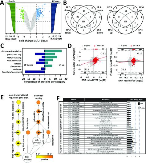Quantitative Analysis Of The Fitness Adapted Proteome A Volcano Plot