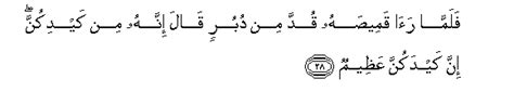 Tafsir Surat Yûsuf Ayat 28 Tafsir Mufid Bin Djamal Dahlan