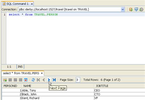 database explorer in netbeans 6 5 brewed netbeans