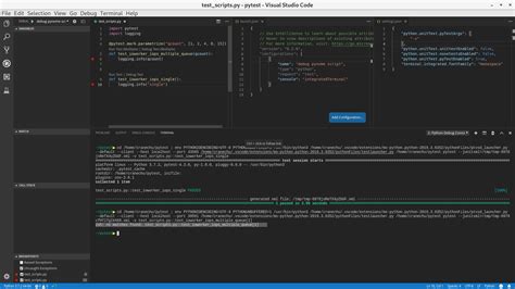 escape pytest in zsh terminal when debuging the tests