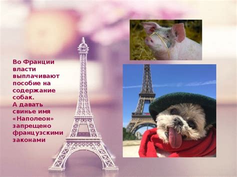 Интересные факты о Франции начальные классы презентации