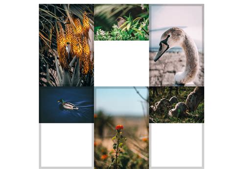 html different height and position for col in bootstrap