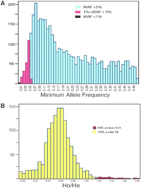 Distribution Of Minor Allele Frequencies Mafs And Ho He Snps From