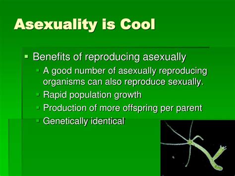 Ppt Adaptive Significance Of Sex Powerpoint Presentation Free