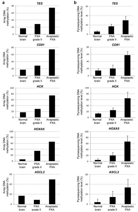 Validation Of Dna Hypermethylation Events In Malignant Transformation