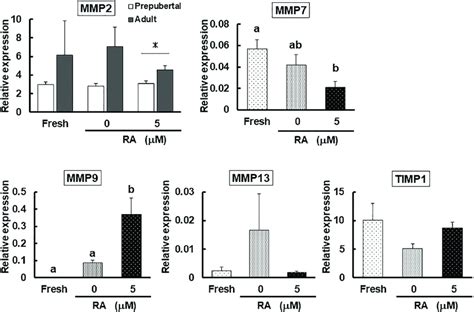 Influence Of Ra On Mmps And Timp Mrna Expression Relative Mrna Levels