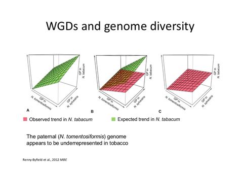Whole Genome Duplication And Diversification Of Plant Genomes