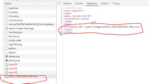reactjs unable to get image from public images folder in