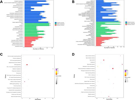 Frontiers Combined Analysis Of Differentially Expressed Lncrnas And