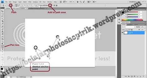 Belajar Photoshop Dasar Menggunakan Pen Tool Belajar Photoshop