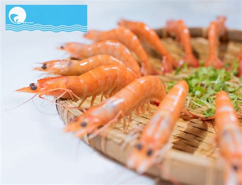Cooked Hoso Vannamei Vietoceanseafood