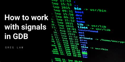 signals and gdb gdbwatchpoint
