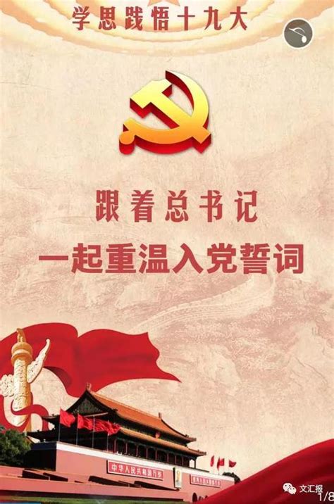 学思践悟十九大：跟着总书记一起重温入党誓词 新浪新闻