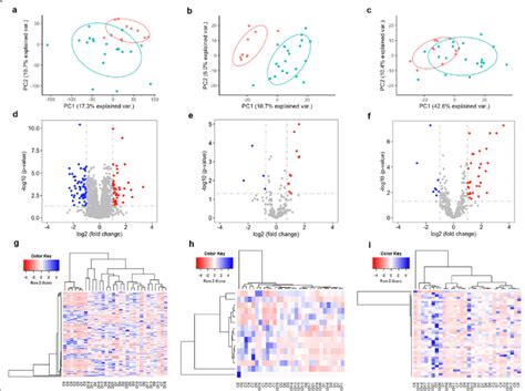 Differential Gene Expression Analysis A C Principal Component Analysis