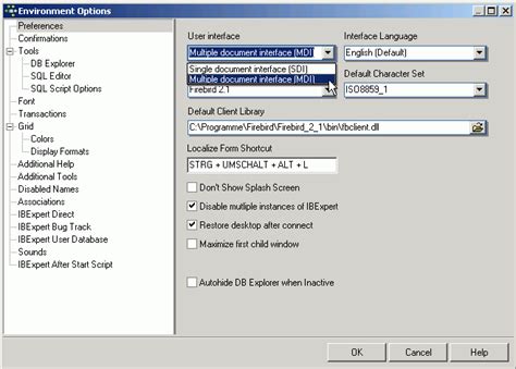 the database experts doc mdi multiple document interface