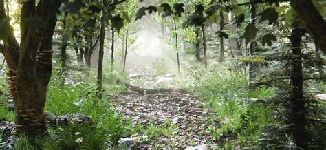 create a forest in blender with the realistic nature pack