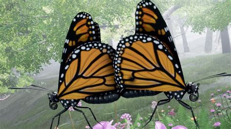 Lifecycles Act 3 Butterfly Reproduction Drunk On Nectar Youtube