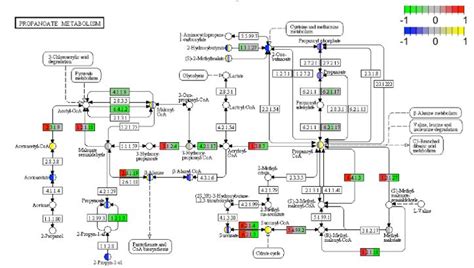 How To Make A Kegg Map From Humann2 Pathways 10 By Fconstancias