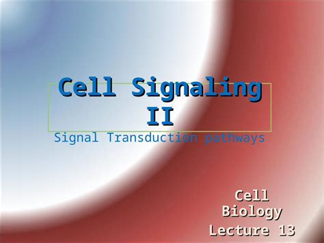 Ppt Cell Signaling Ii Cell Signaling Ii Signal Transduction Pathways