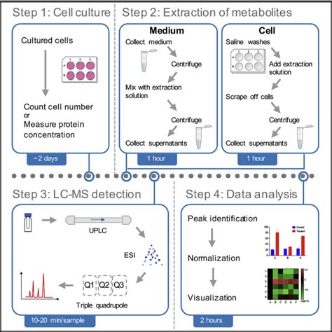 Protocol For Intracellular And Extracellular Metabolite Detection In