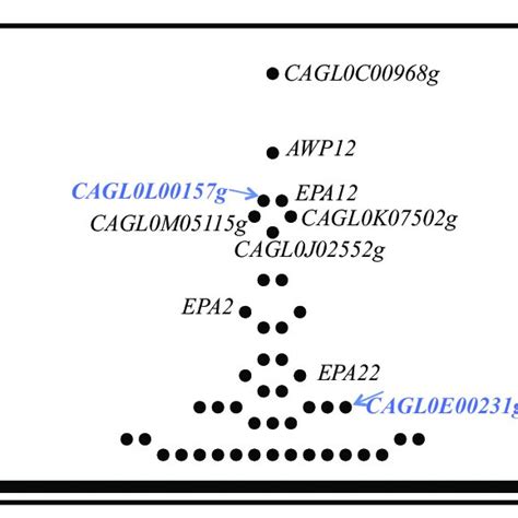 Number Of Nonsynonymous Single Nucleotide Polymorphisms Snps Found