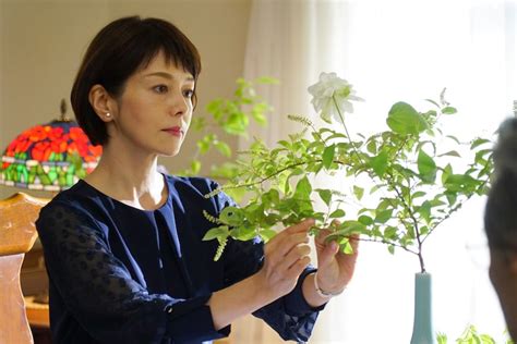 「お花のセンセイ」 鈴木仁が沢口靖子主演のドラマsp「お花のセンセイ」に出演、籠城する元大学院生役 [画像ギャラリー 8 15] 映画ナタリー