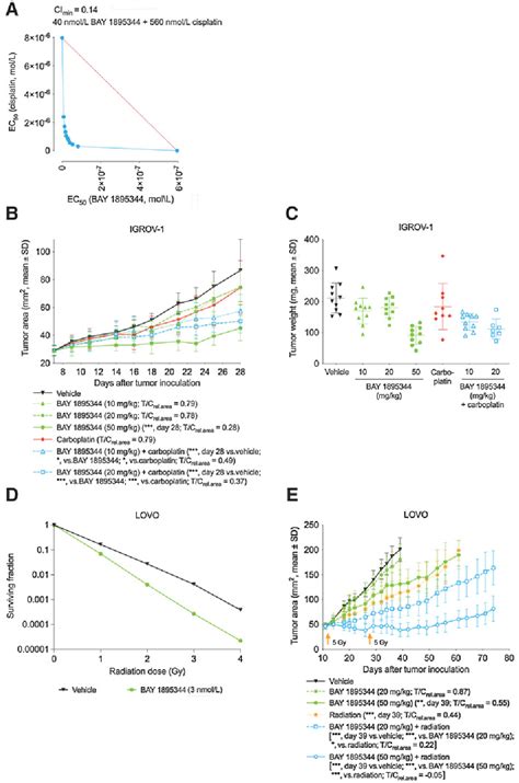 Figure 4 From The Novel Atr Inhibitor Bay 1895344 Is Efficacious As