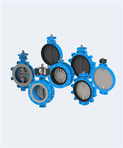 Products Intervalve® Poonawalla Ltd