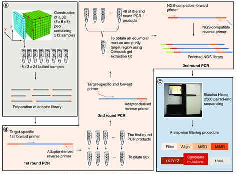 Strategy To Improve The Semi Nested Pcr Based Multiple Target Hot Sex
