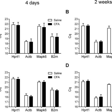 Primer Sequences For The Candidate Reference Genes Download Table