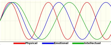 biorhythm wikipedia