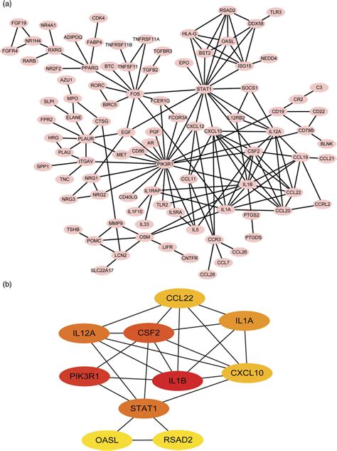The Protein Protein Interaction Network Constructed By Differentially