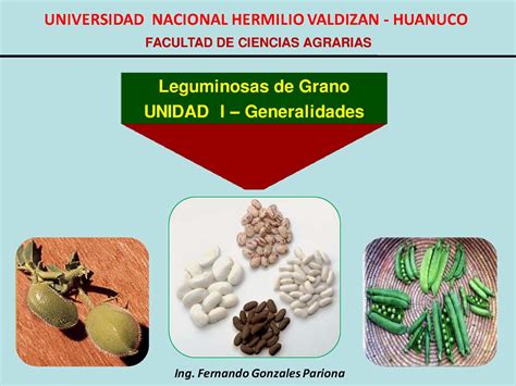 Calaméo Leguminosas De Grano Generalidades
