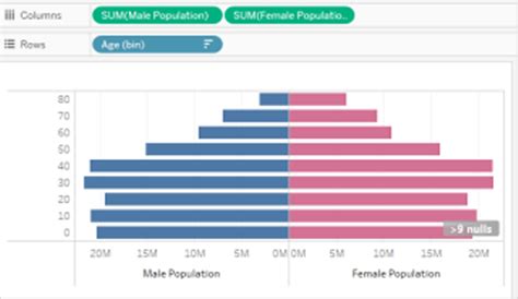 Create A Population Pyramid