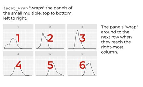 how to use to facet wrap r craft