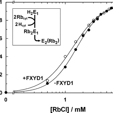 Rb þ Binding Induced Conformation Transition Detected By Fitc Labeled