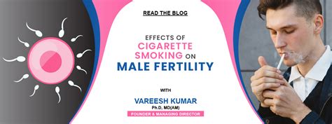 Effects Of Smoking On Male Fertility Vardaan Medical Centre