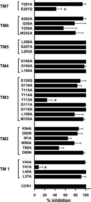 Cell Surface Expression Of Ccr1 Point Mutants Each Of The Ccr1 Point