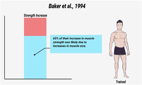 How To Build Muscle Faster 3 Science Based Training Tips