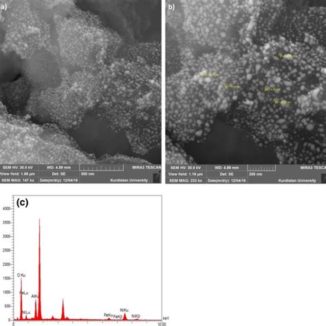 a sem image and b edx spectrum of mont k10 c sem image and d edx