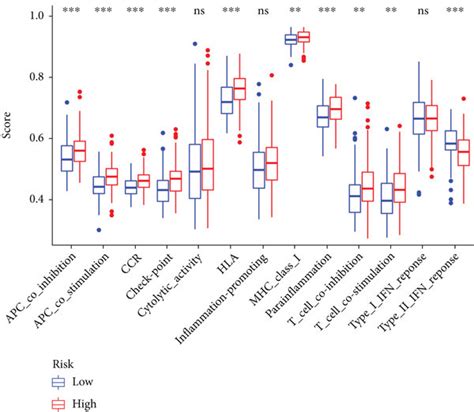 Comparing The Ssgsea Scores In High And Low Risk Groups In The Tcga