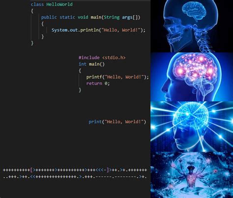the best programming language ever programmerhumor