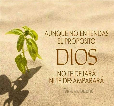 Postal Aunque No Entiendas El Propósito De Dios