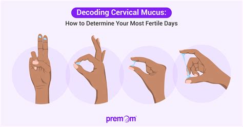 Vaginal Discharge Chart